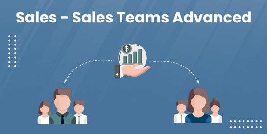 Sales - Sales Teams Advanced | T.V.T Marine Automation
